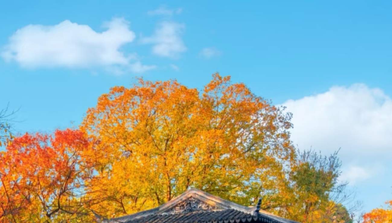 Suzhou Hanfu Experience (Hanfu Rental + Optional Photographer Outdoor ...