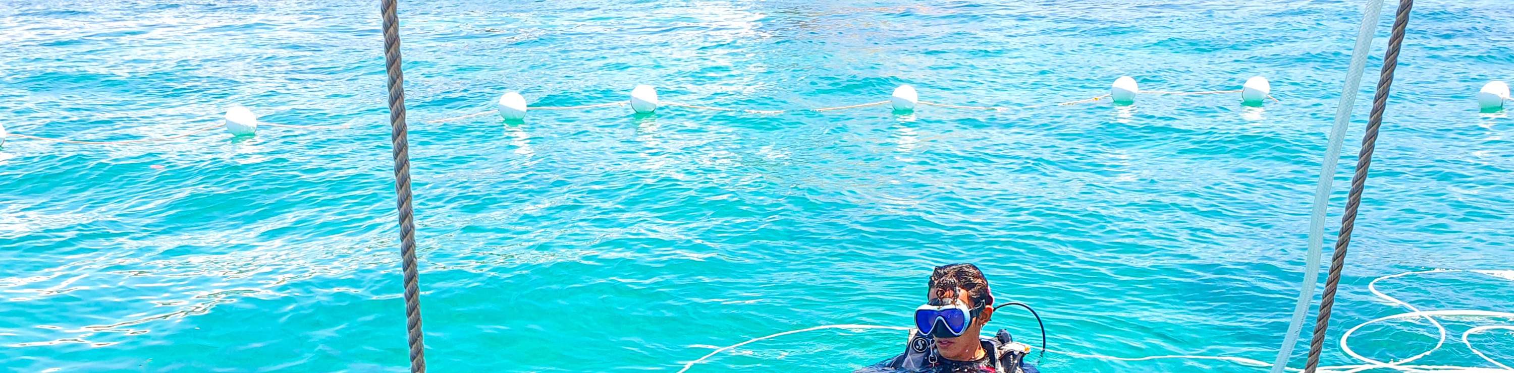 Explore Underwater Wonders: Cebu Helmet Dive Experience with Sea ...