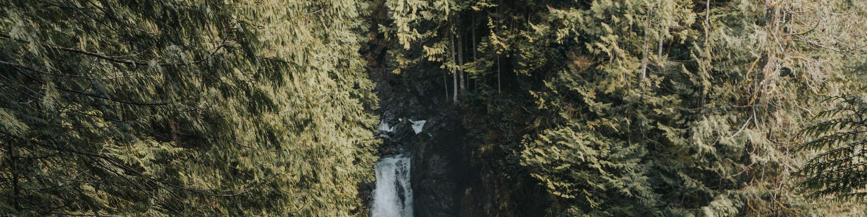 Wallace Falls Rainforest and Waterfall Hiking Tour From Seattle - Klook ...