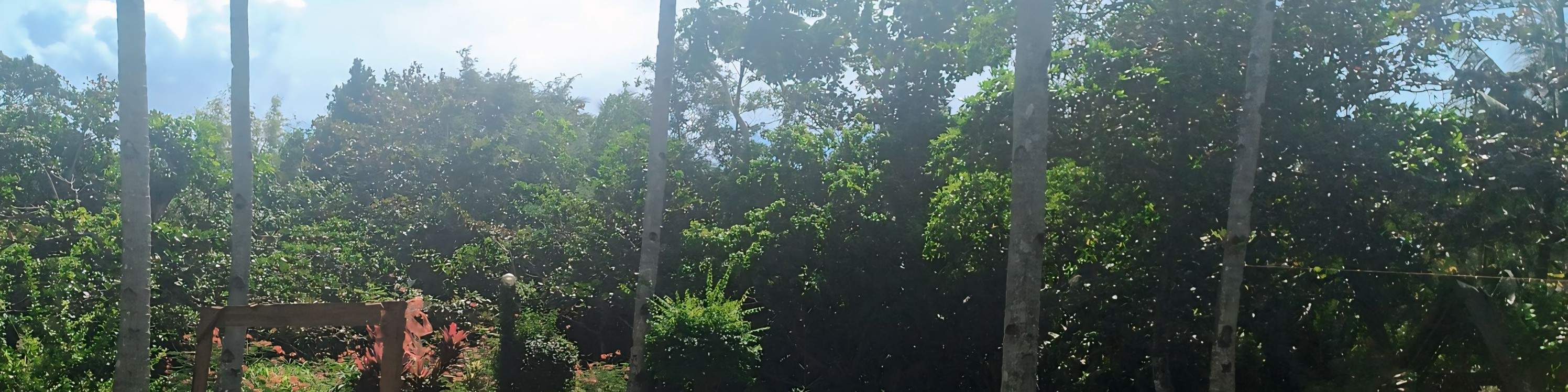 Boracay Aquablast Kayaking Adventure - Klook Philippines