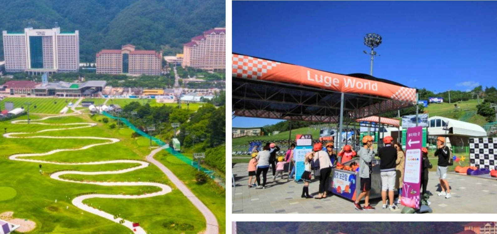 Alpaca Pasture, Strawberry Picking, and Sledding Day Trip from Seoul, South Korea - Klook