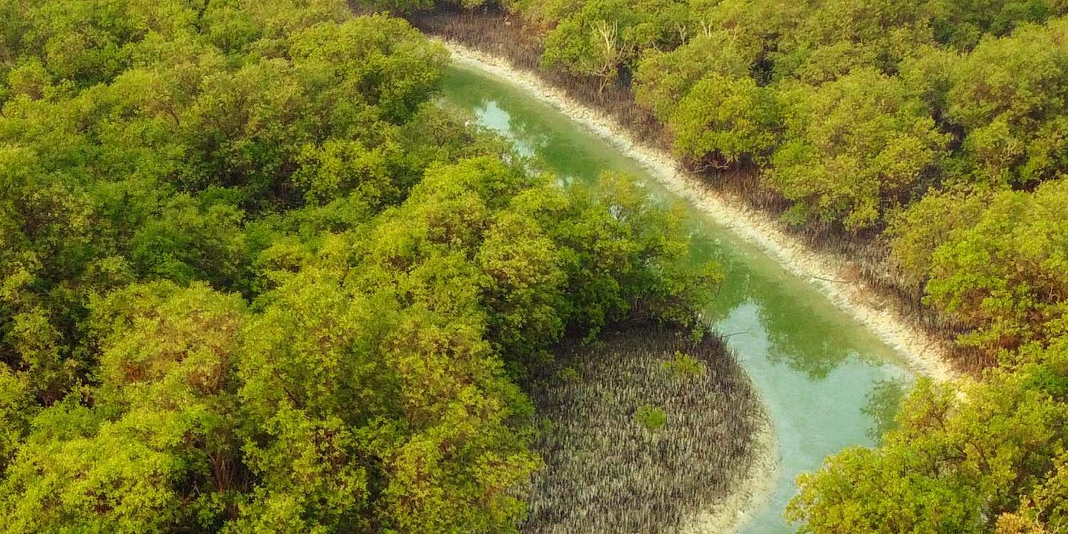 Guided Kayak Tour at Reem Central Park - Klook United States