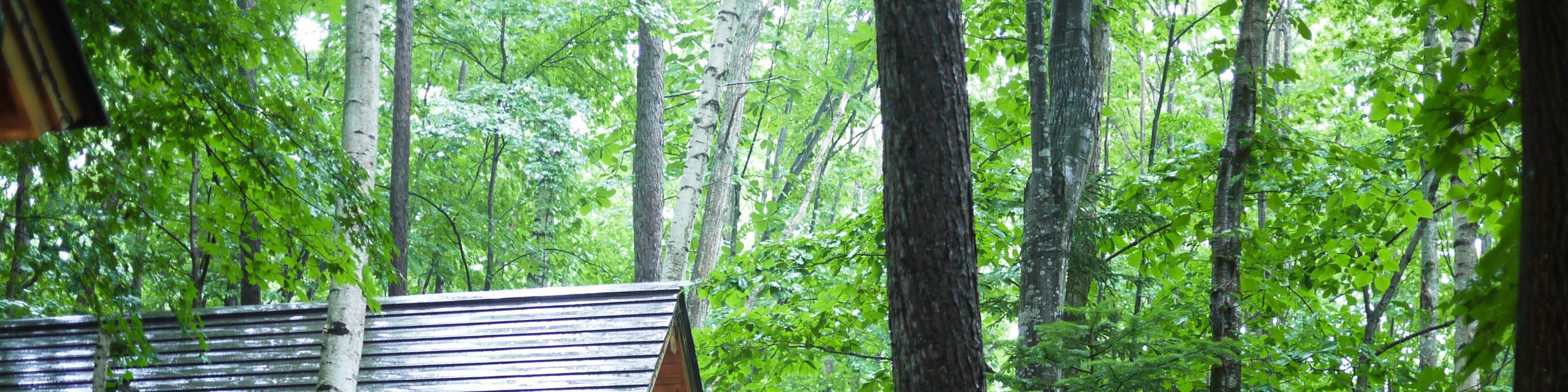 Hokkaido, Sapporo, and Furano Biei Join In Day Guided Tour - Klook ...