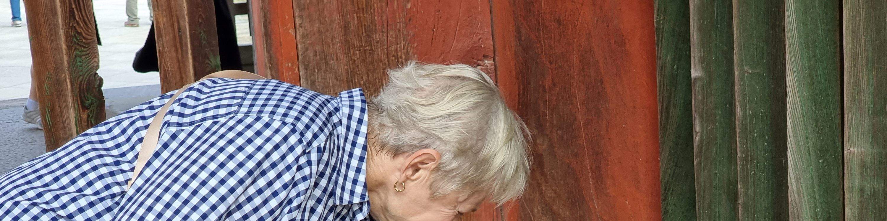 Nara World Heritage PRIVATE TOUR - Klook