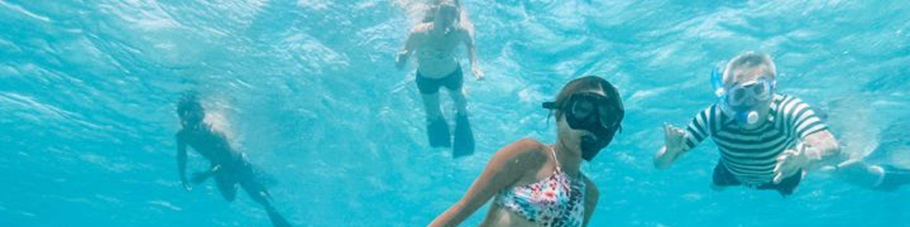 Waikiki Turtle Canyon Snorkeling Tour - Klook