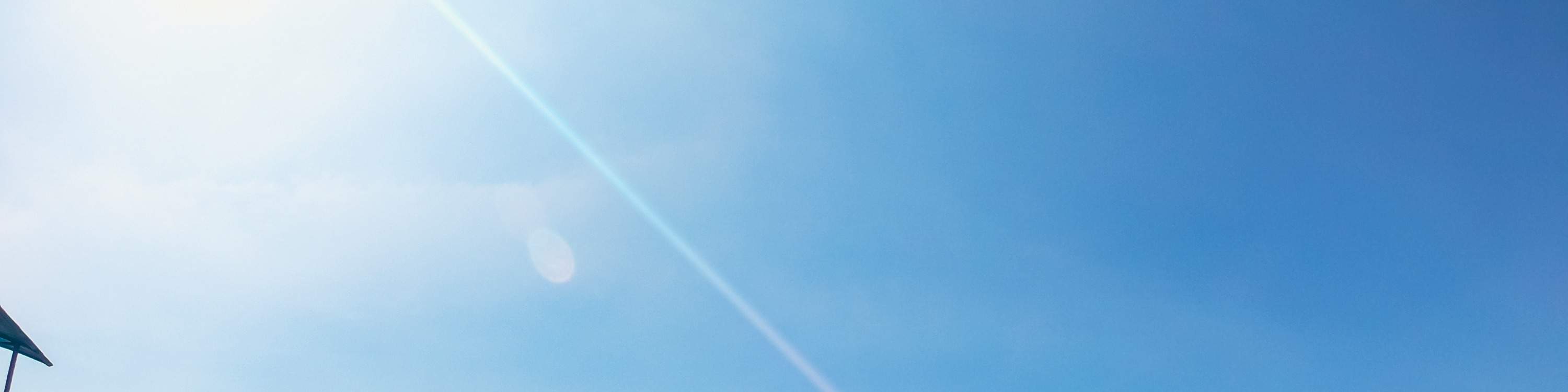 タートルアイランド・グラスボート・マングローブクルーズ体験（JTBインドネシア提供） | Klook