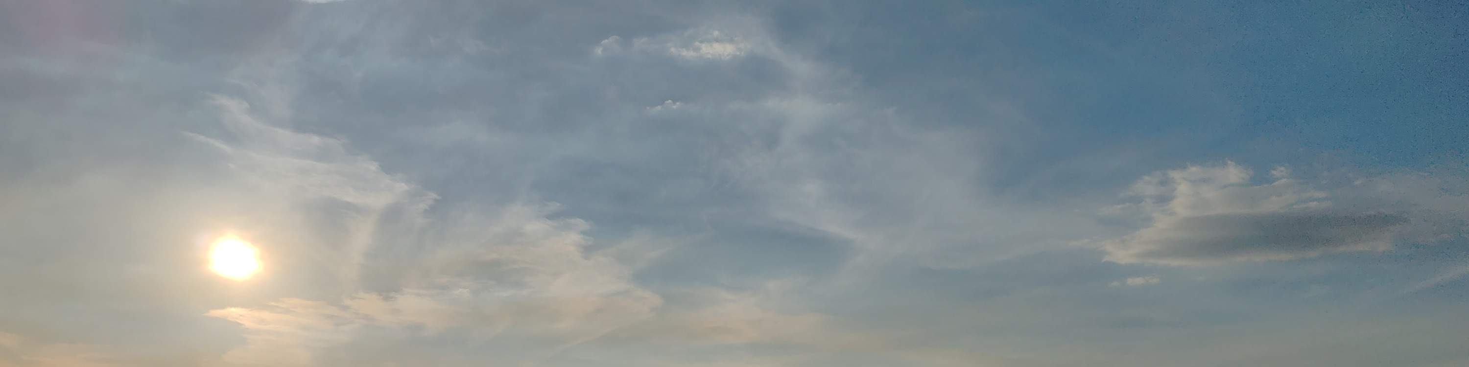 Kota Kinabalu : Bongawan Wetland Proboscis Monkey Shared Tour - Klook