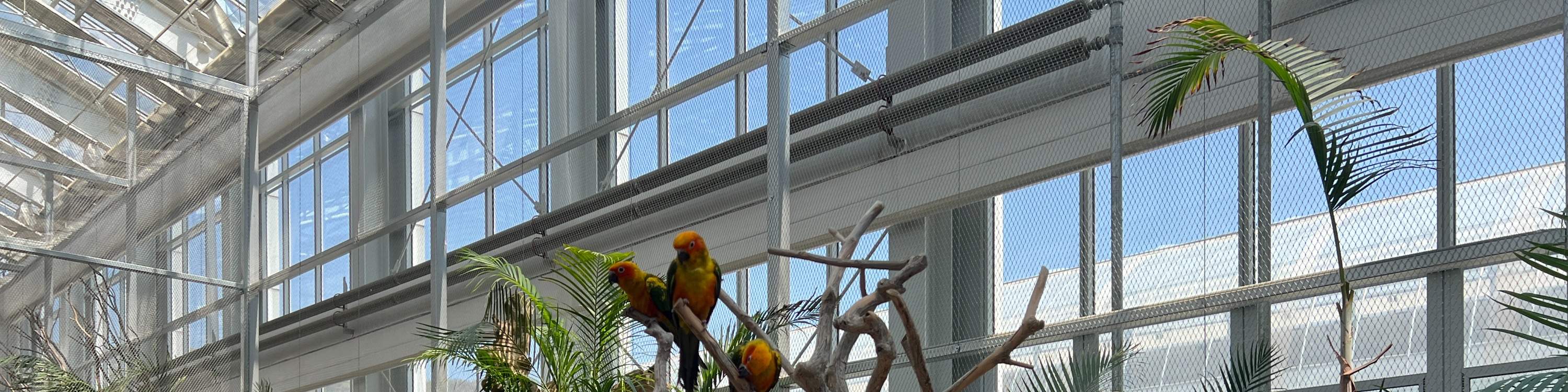 Begonia Bird Garden+Mysterious Zoo+Aqua Cafe Round-trip shuttle - Klook