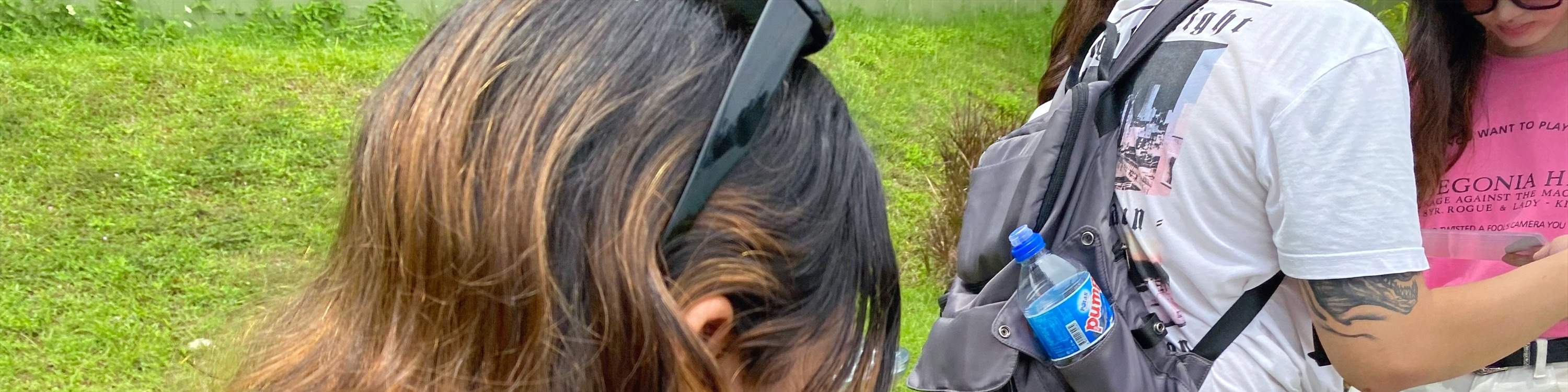 Sentosa Island Walk Magical Discovery Sentosa Walking Tour from ...