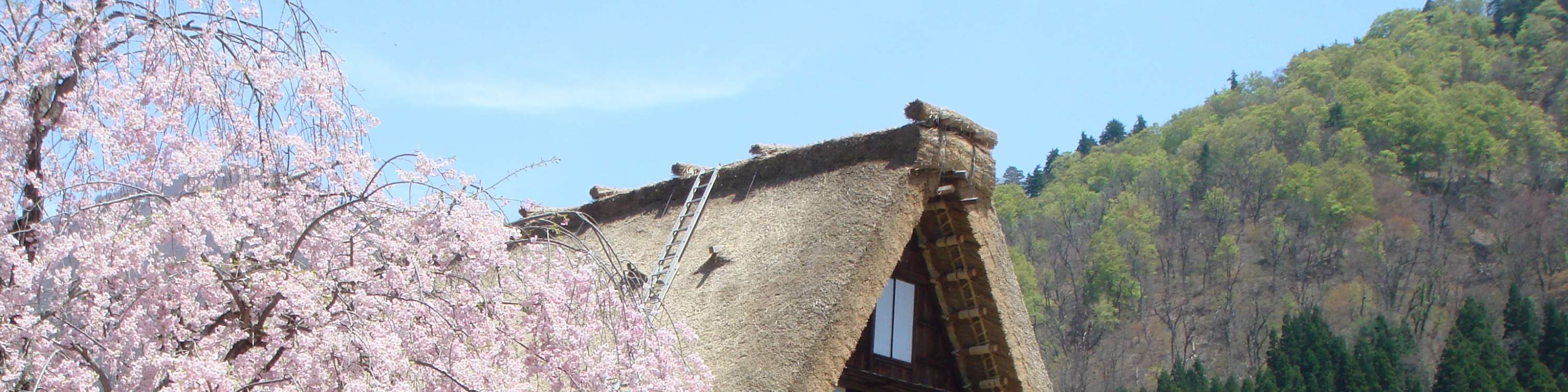 Online Booking for Shirakawa-go, Gujo Hachiman, and Hida Takayama Day Trip Tour - Klook Singapore