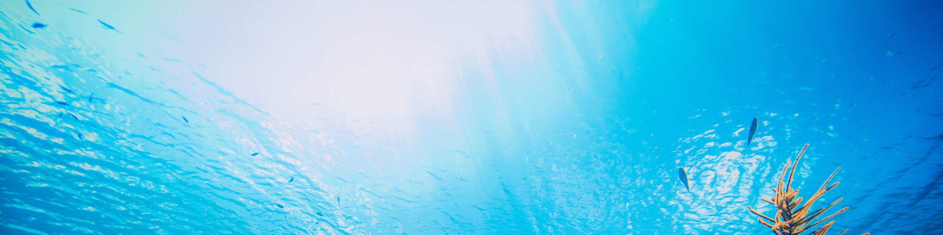 The Wizard of Oz at Sphere Ticket - Klook United States