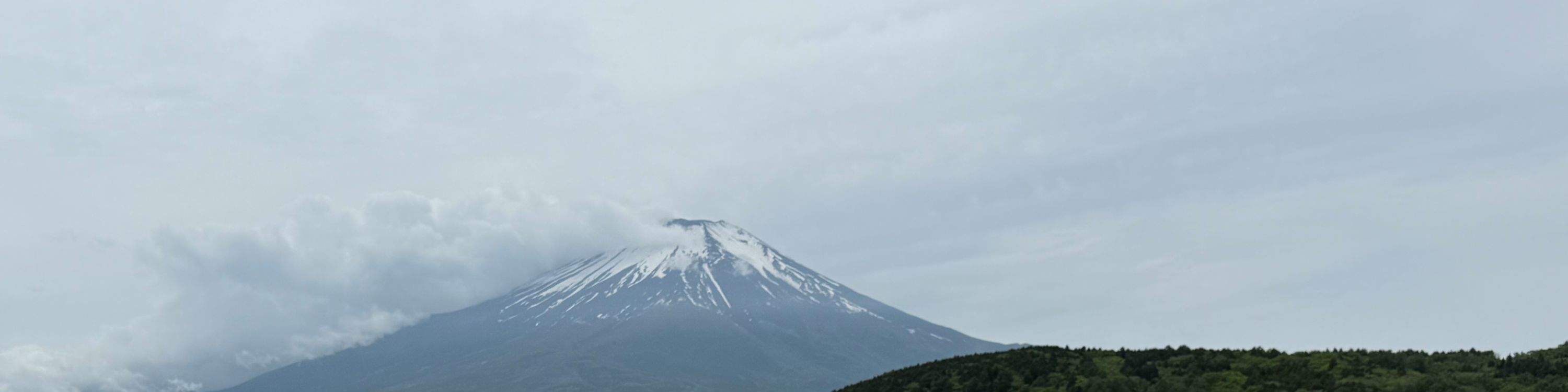 Narita Airport/Haneda Airport Car Rental with Driver to Mt. Fuji/Hakone ...