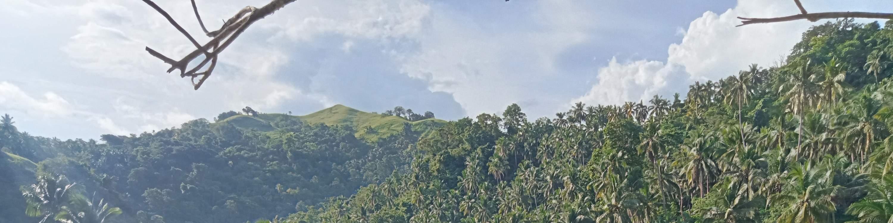 Explore the Unseen Beauty: Bohol Hidden Waterfalls Tour for Nature ...