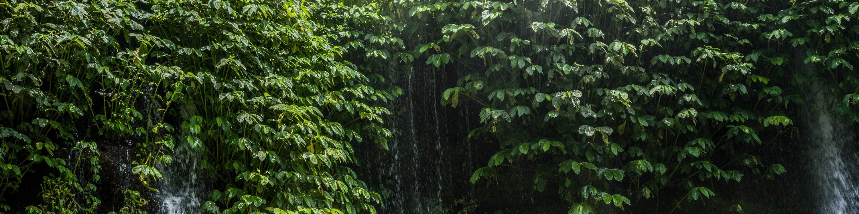 Excursion aux cascades de Benang Stokel et Benang Kelambu à Lombok ...