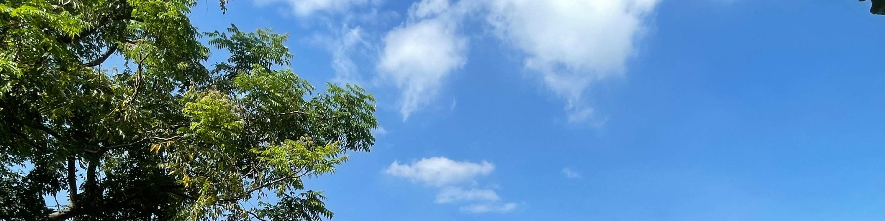 Yilan Zhang Mei Ama Farm Day Tour from Taipei - Klook Philippines