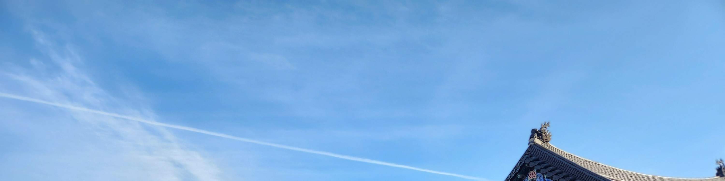 Busan Must-visit 1 Day Tour : Blue line Sky Capsule & Beach Train - Klook