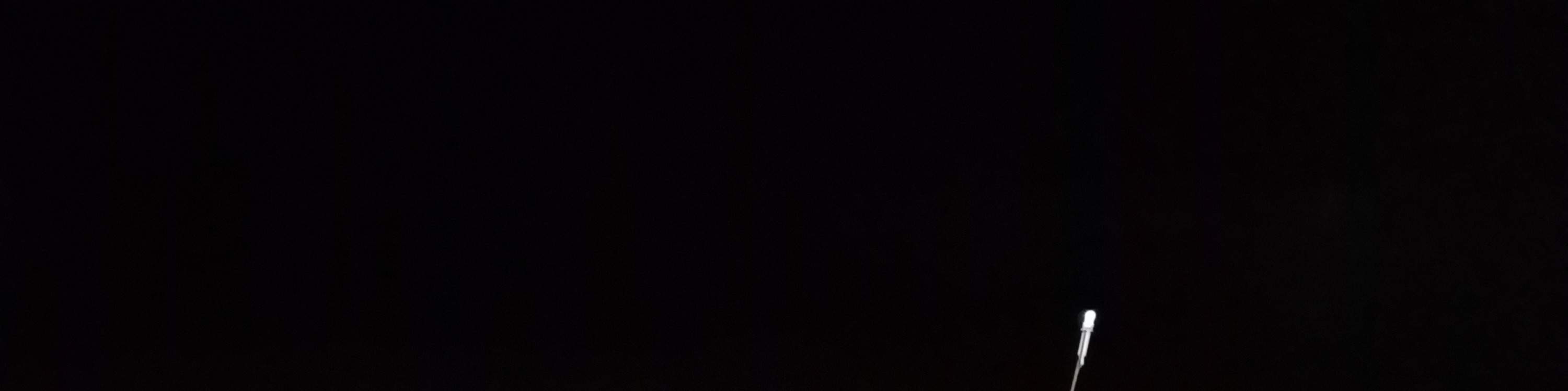 Bintan Mangrove atau Fireflies Tour - Klook Indonesia