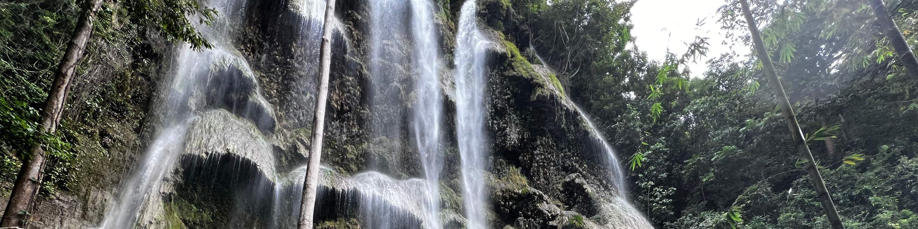 Whale Shark Encounter, Sumilon Sandbar, and Canyoneering in Kawasan ...