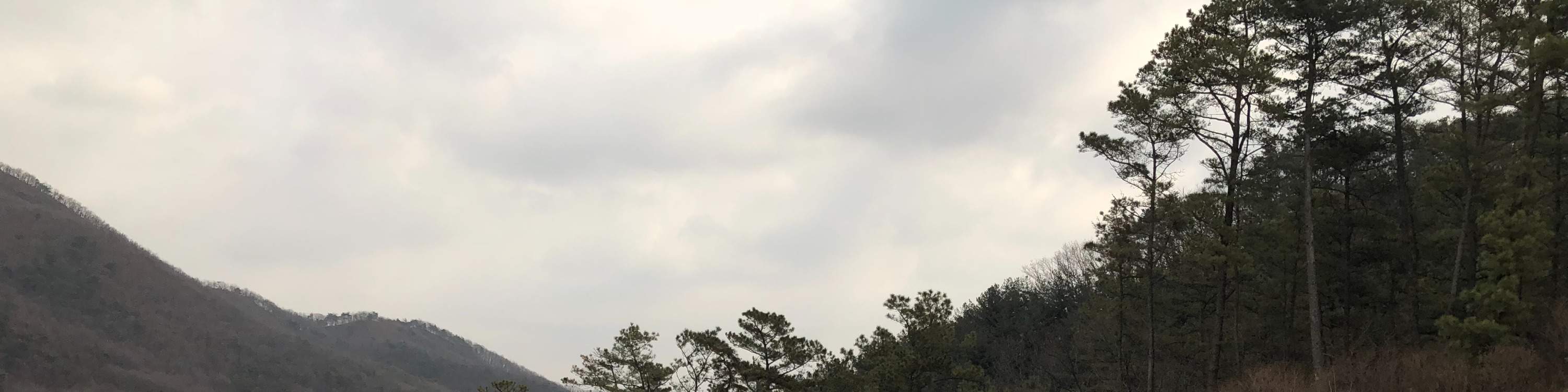 Jisan Ski Resort One Day Tour - Klook Singapore