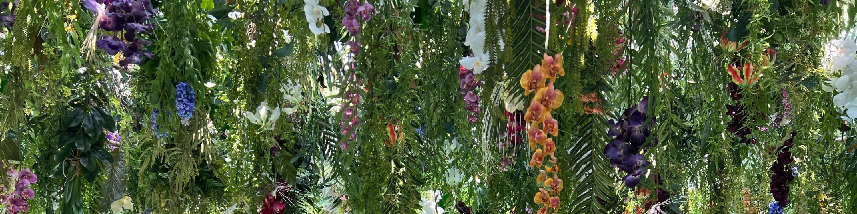 Begonia Bird Garden+Mysterious Zoo+Aqua Cafe Round-trip shuttle - Klook
