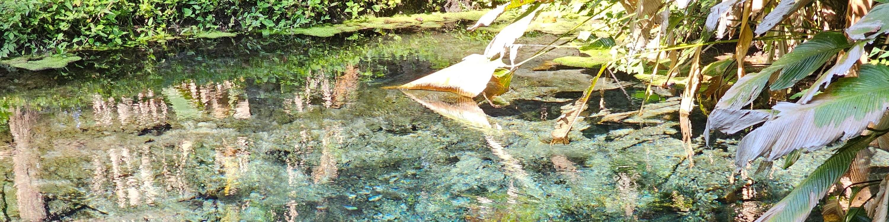 Join In Sticky Waterfall Chiang Mai Half Day Tour - Klook New Zealand