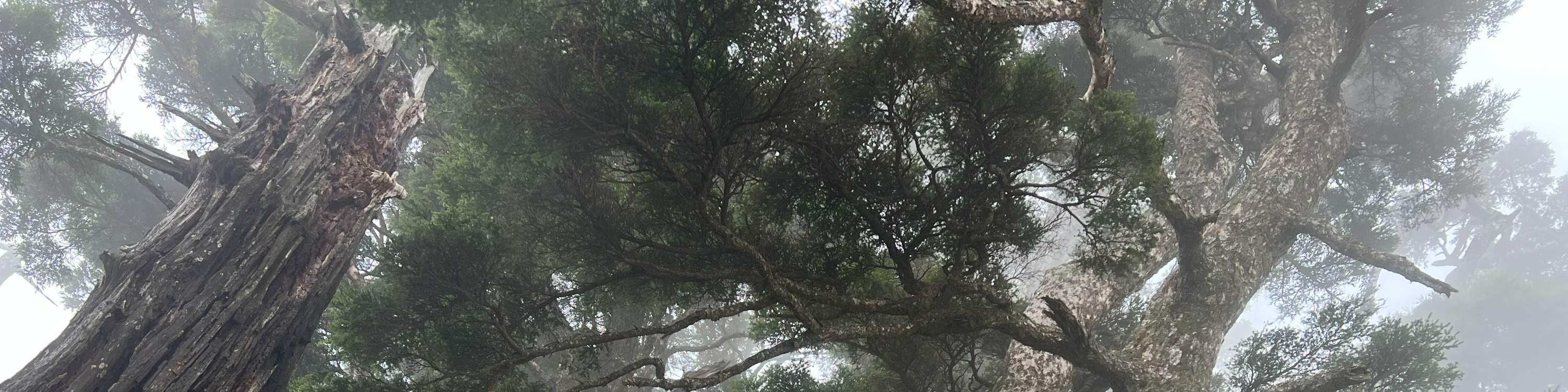 Nanheng Three-Star Mountaineering Tour: Taguan Mountain & Guanshanling ...