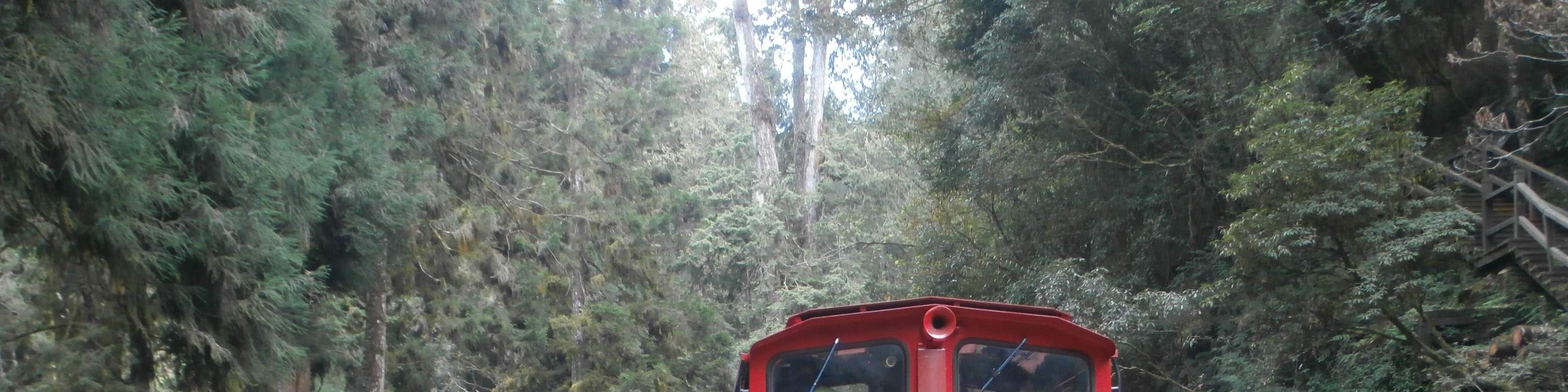 Sun Moon Lake & Alishan Private Tour dari Taipei (3 Hari) - Klook Indonesia