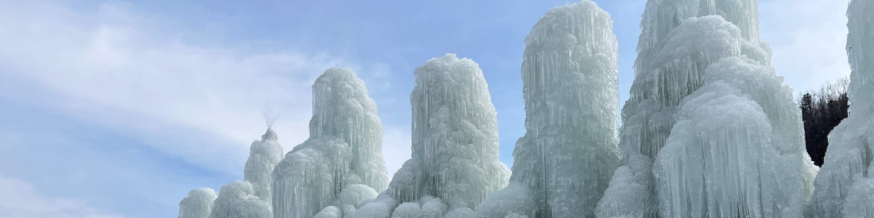 Tour dell'Arboreto Nazionale di Sejong e del Villaggio Alpino di Cheongyang con partenza da ...