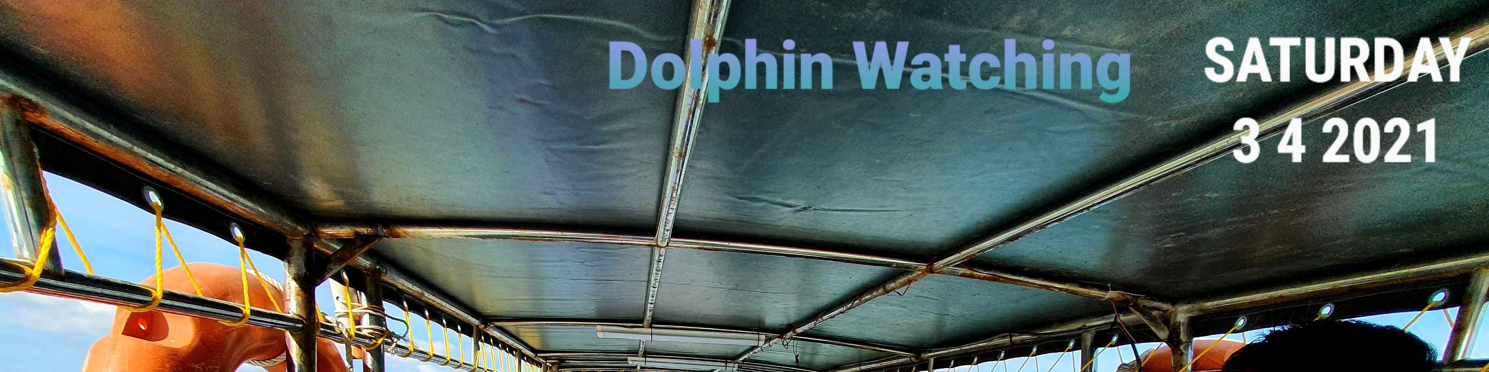 Dolphin Mangrove Cruise and Sarawak Cultural Village Tour in Kuching ...