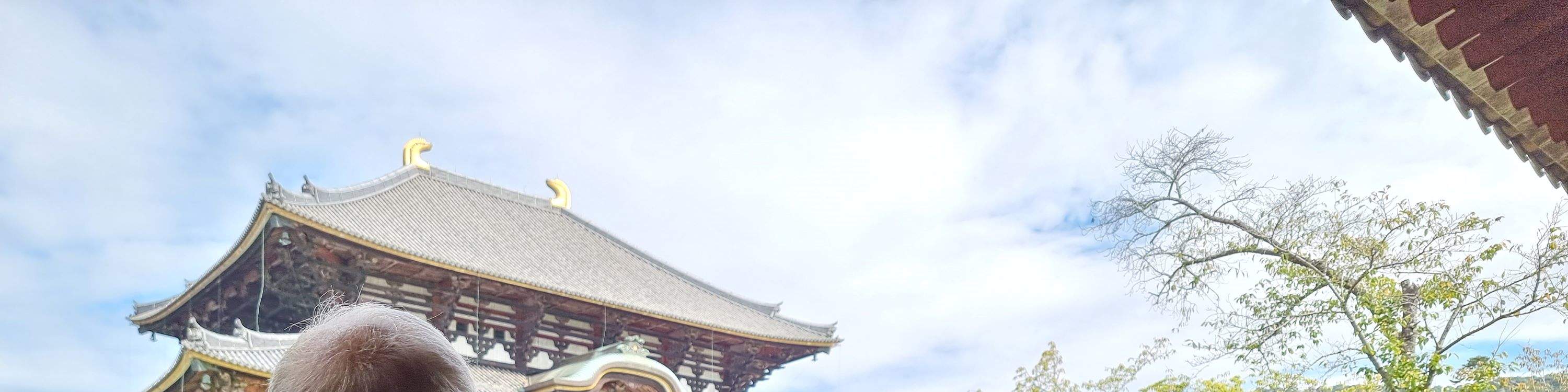 Nara World Heritage PRIVATE TOUR - Klook