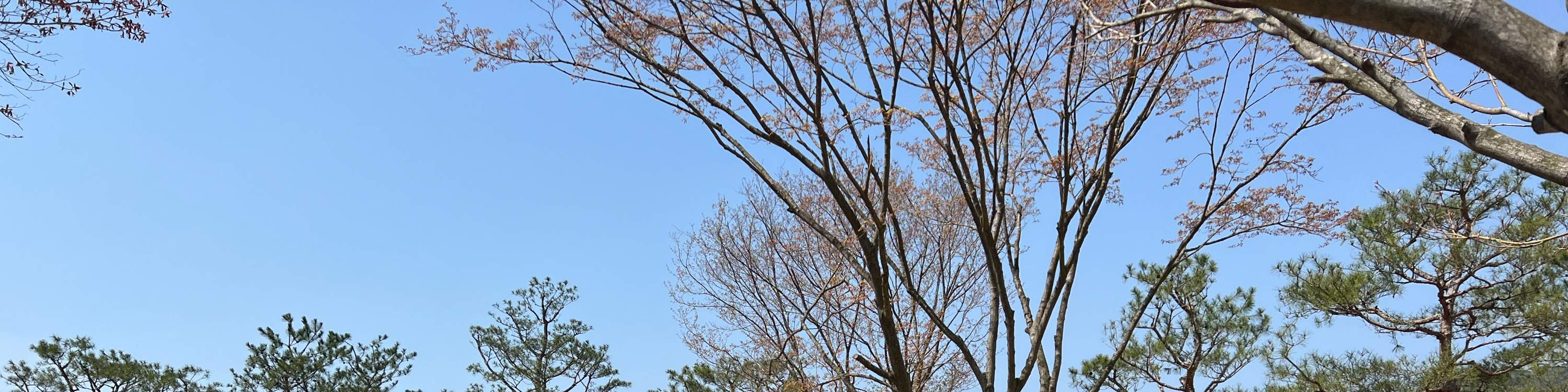 Begonia Bird Garden+Mysterious Zoo+Aqua Cafe Round-trip shuttle - Klook