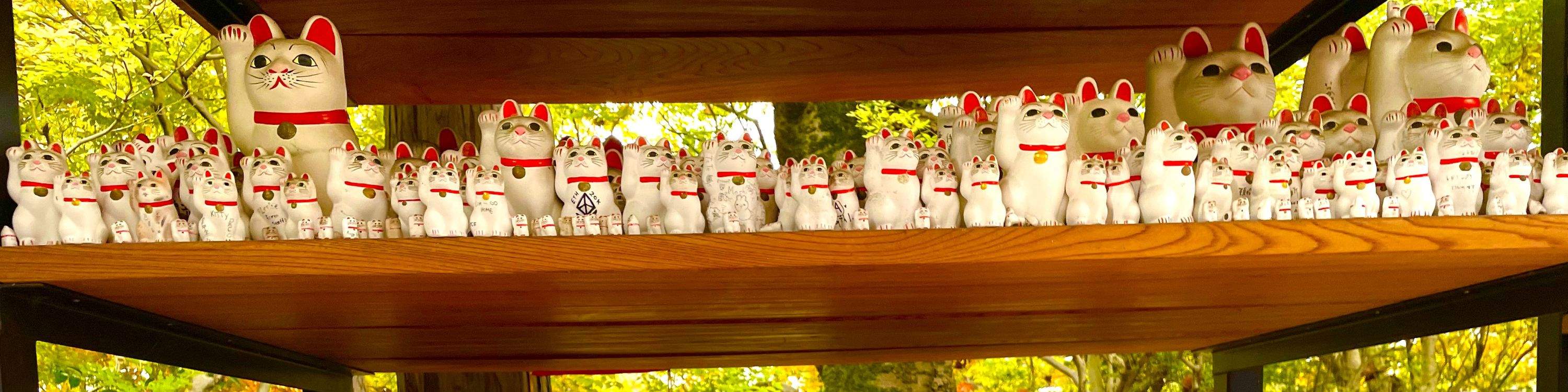 Tokyo Autumn Cat Tour: Harajuku Cat Cafe, Lucky Cat Temple & Cat St ...