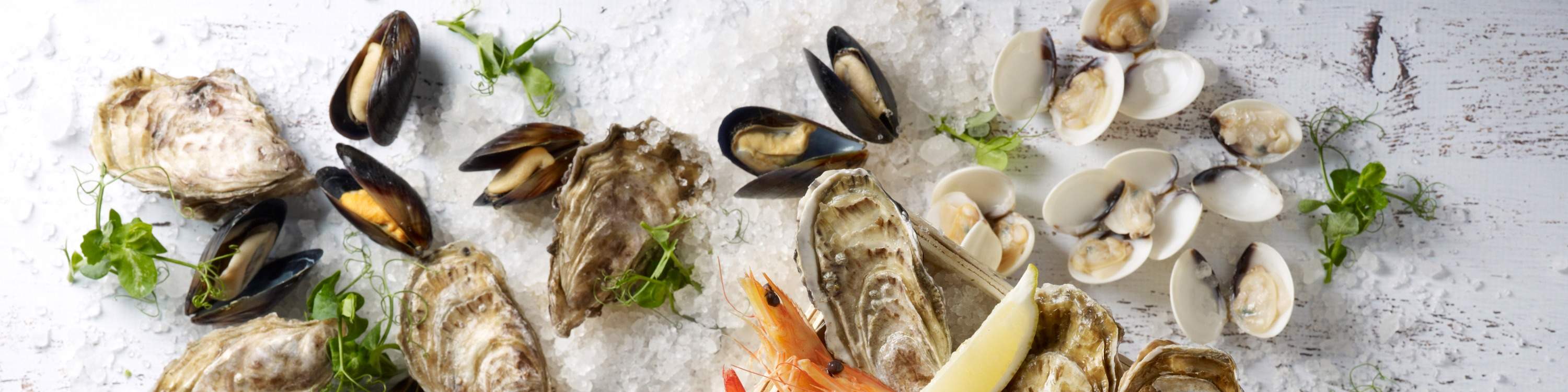 Food Exchange at Novotel Singapore on Stevens - Klook Singapore