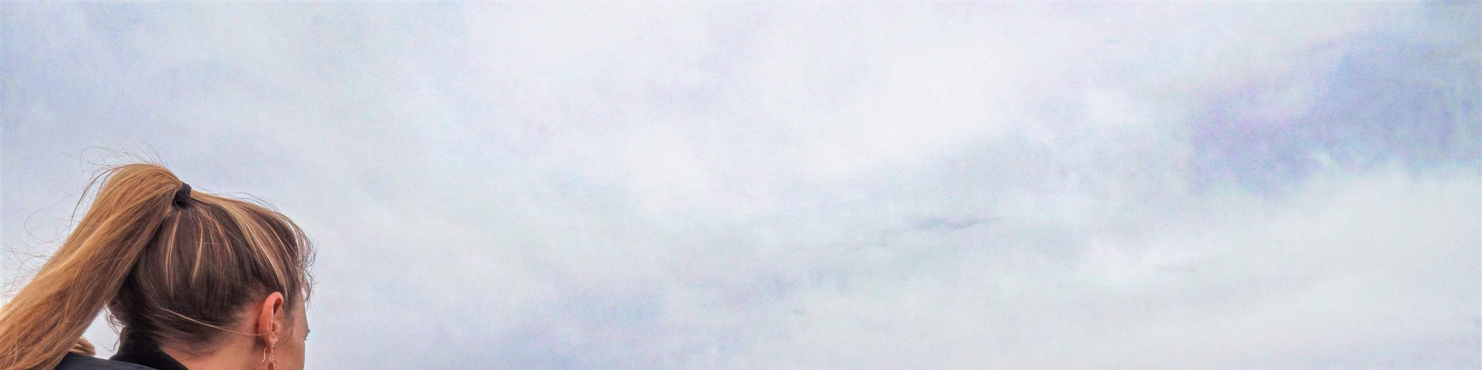 90 Minute Port River Dolphin & Shipwreck Cruise in Port Adelaide ...