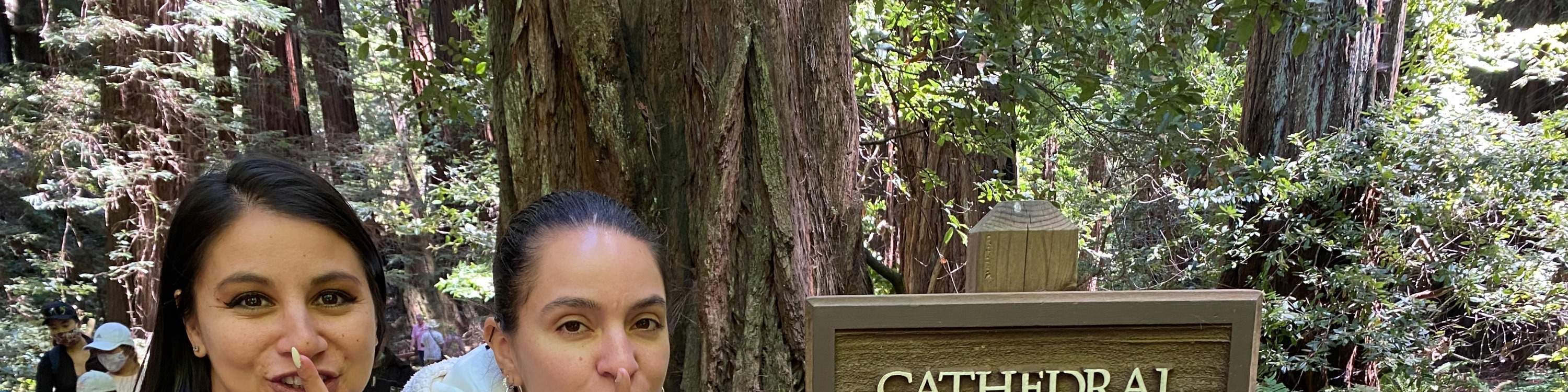 Private Muir Giant Redwoods Trees dan Sausalito Guided Tour - Klook ...