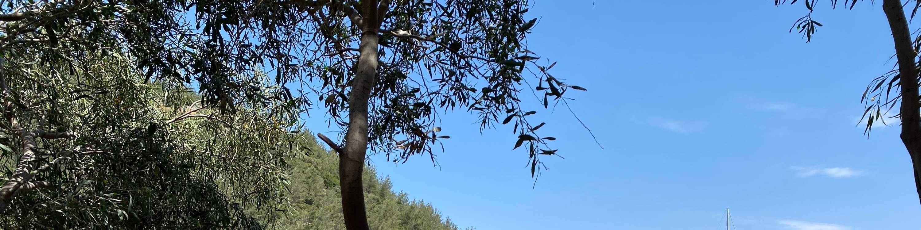 Bodrum: Orak Island, German Bay & Red Bay Boat Tour w/ Lunch - Klook ...