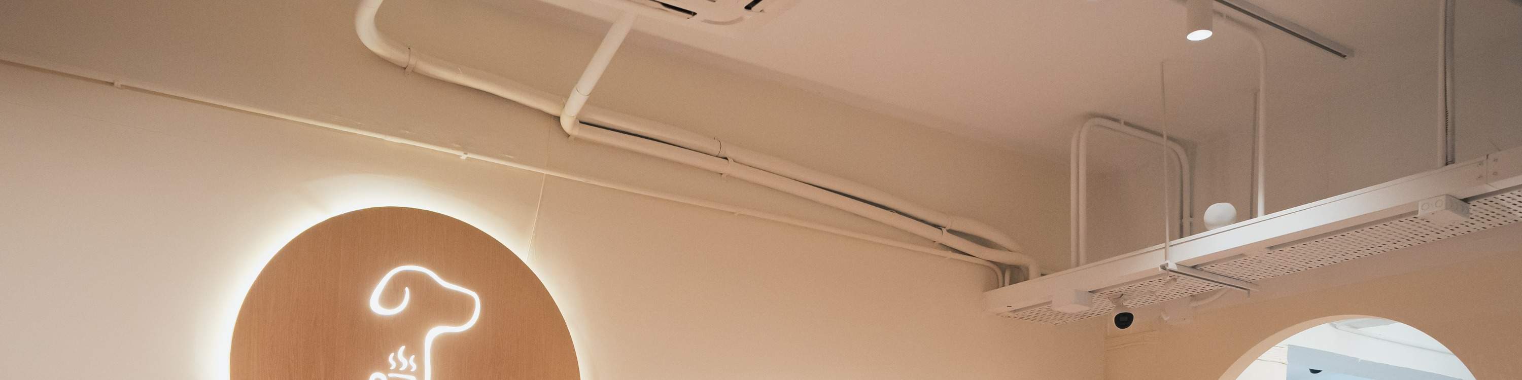 Pawradise Hong Kong Licensed Pet Boarding Service - Klook Hong Kong