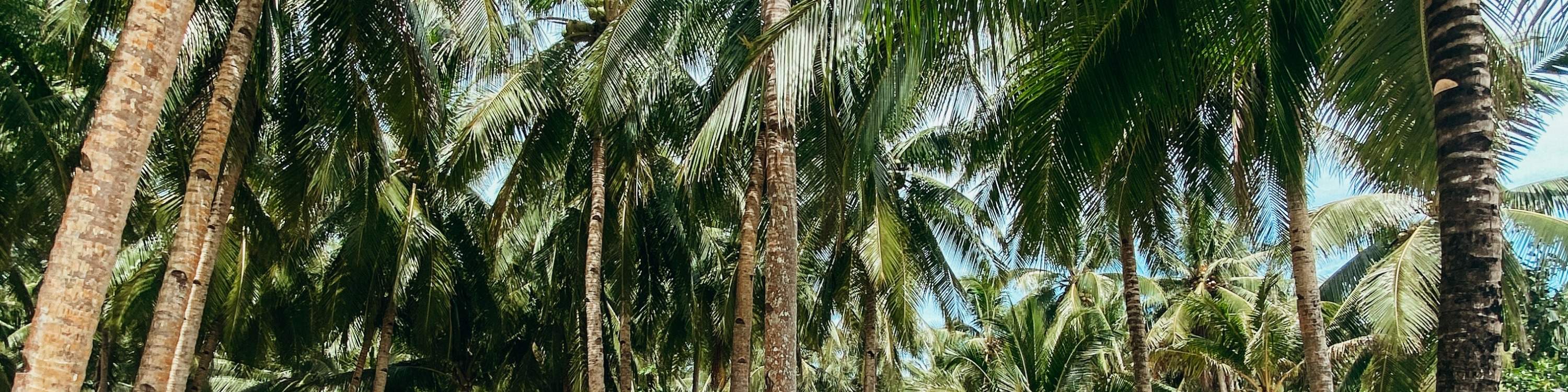 Premium Tri-Island Tour in Siargao - Klook Philippines