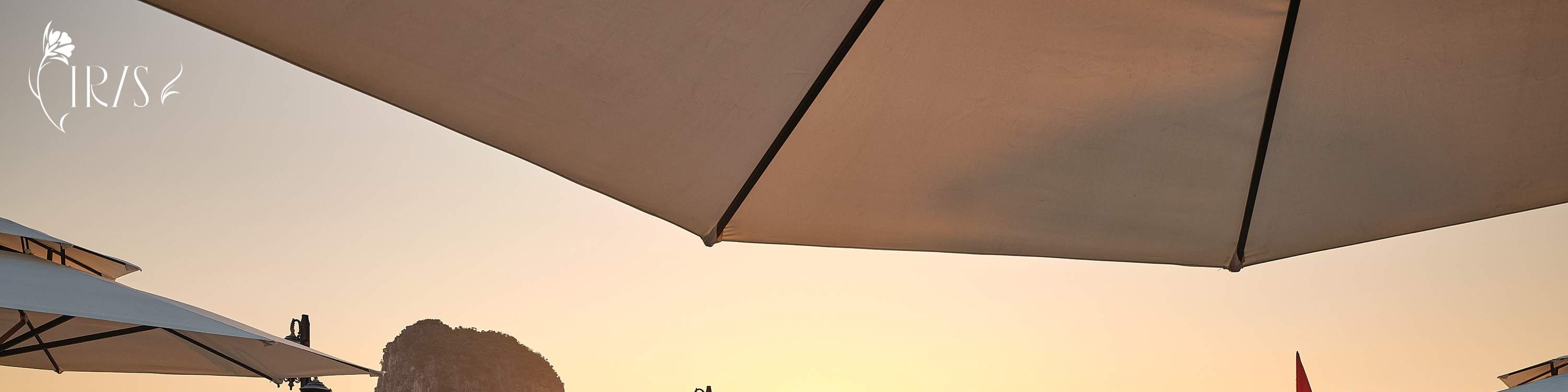 Explore Ha Long Bay Day Cruise Trip by Iris Luxury Cruise, Viet Nam - Klook