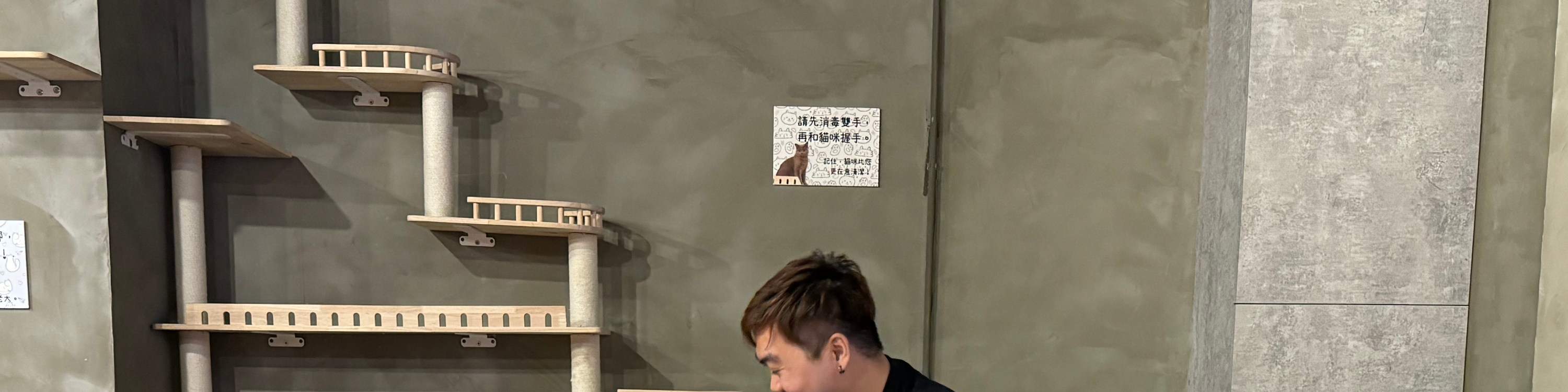 Kelly and Meows Cat Experience Center in Hong Kong - Klook Hong Kong