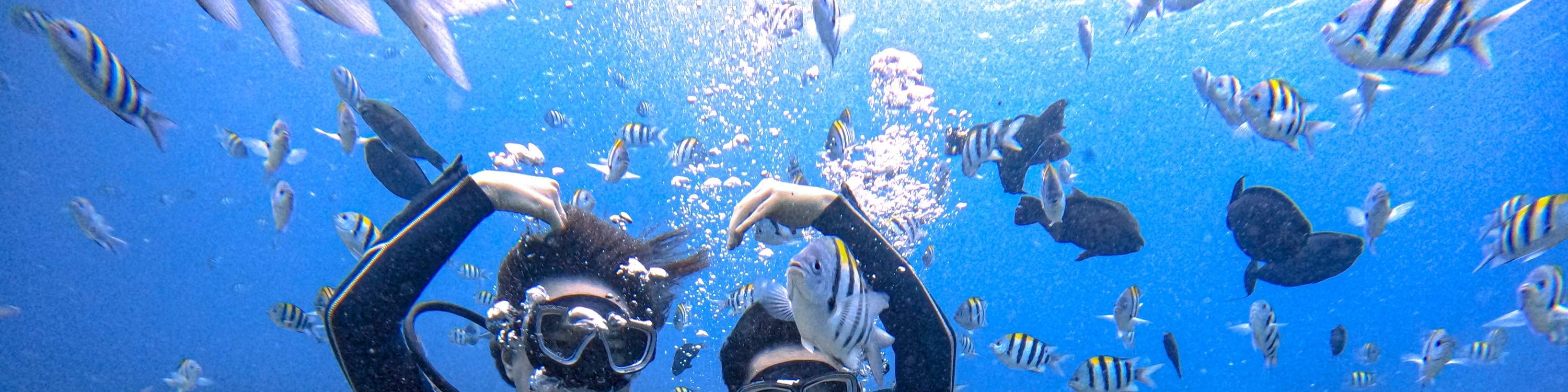 Green Island Bay Diving One-to-One Diving Experience・3 Days 2 Nights ...