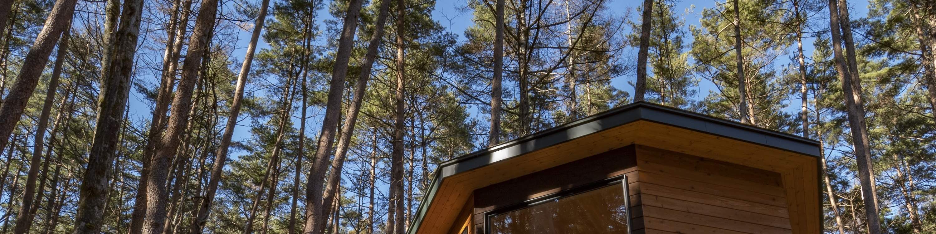 Fuji Sauna: A completely private sauna experience where you can attune ...