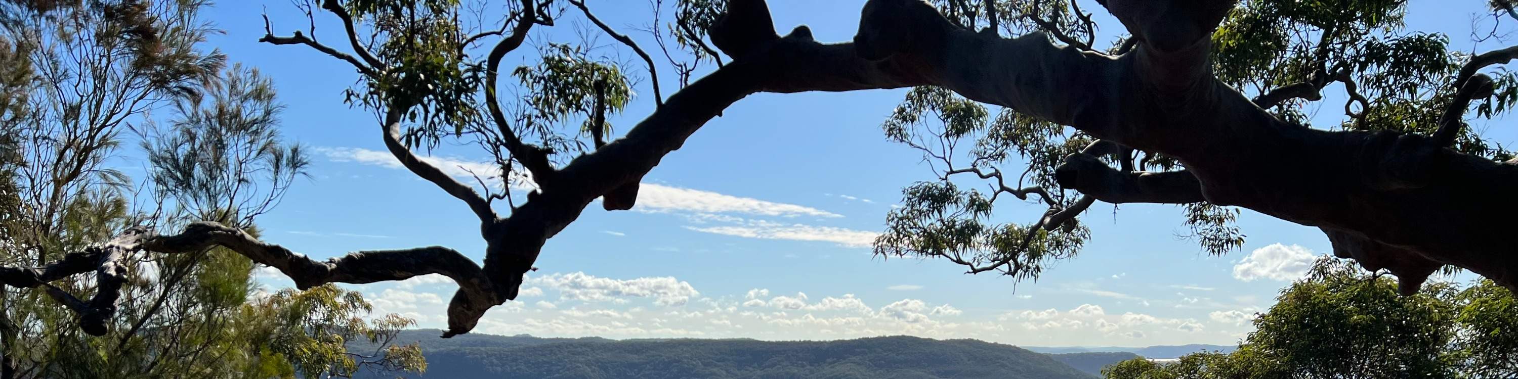 Sydney's Northern Beaches and Ku-ring-gai National Park Bus Tour ...