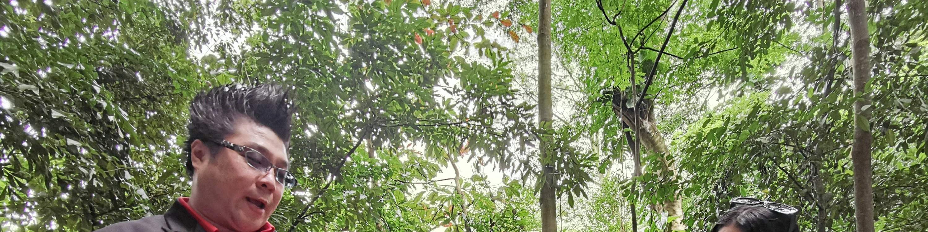 Sentosa Island Walk Magical Discovery Sentosa Walking Tour from ...