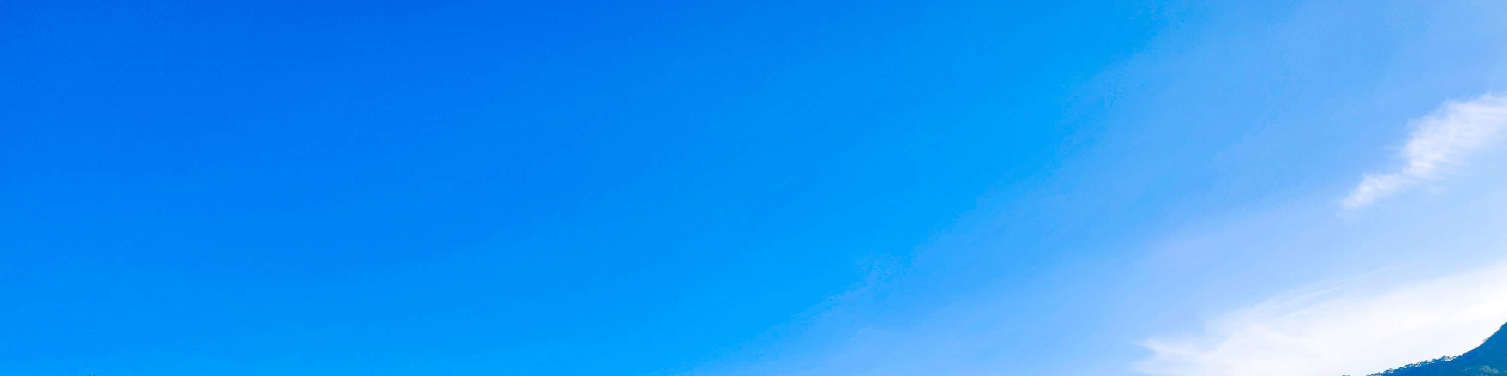 Begonia Bird Park / KingCanoe / RailBike / Cable Car / Nami Island - Klook