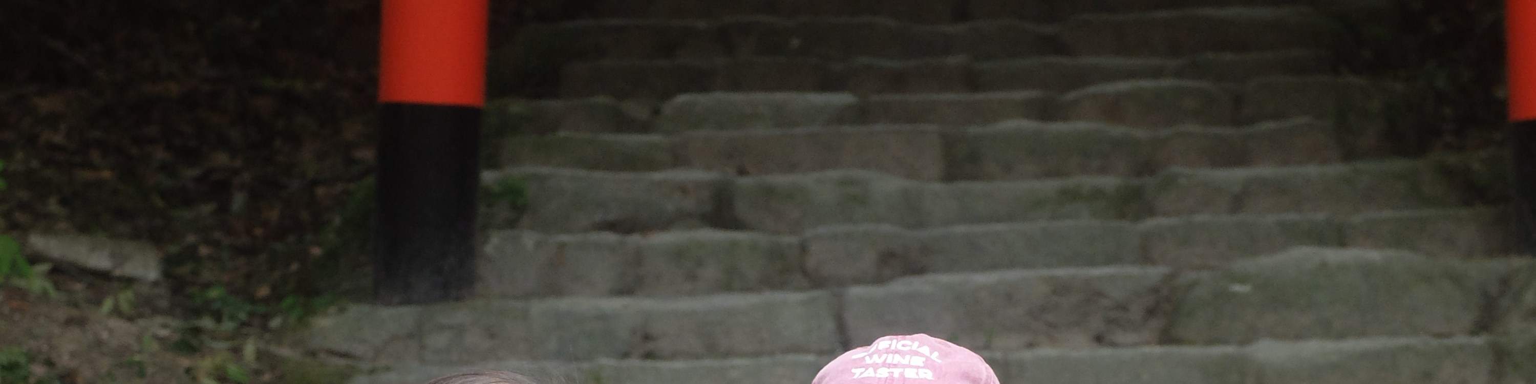 Kanazawa Walking Tour From Local to Major Highlights - Klook United States