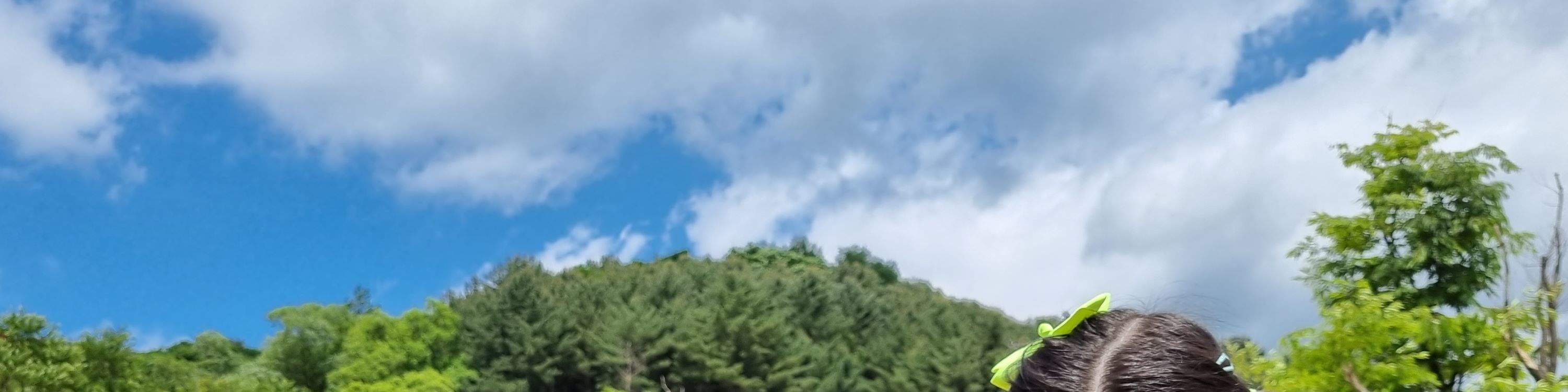 Nami Island & Nijimori Japan & Morning Calm & Railbike & Alpaca - Klook