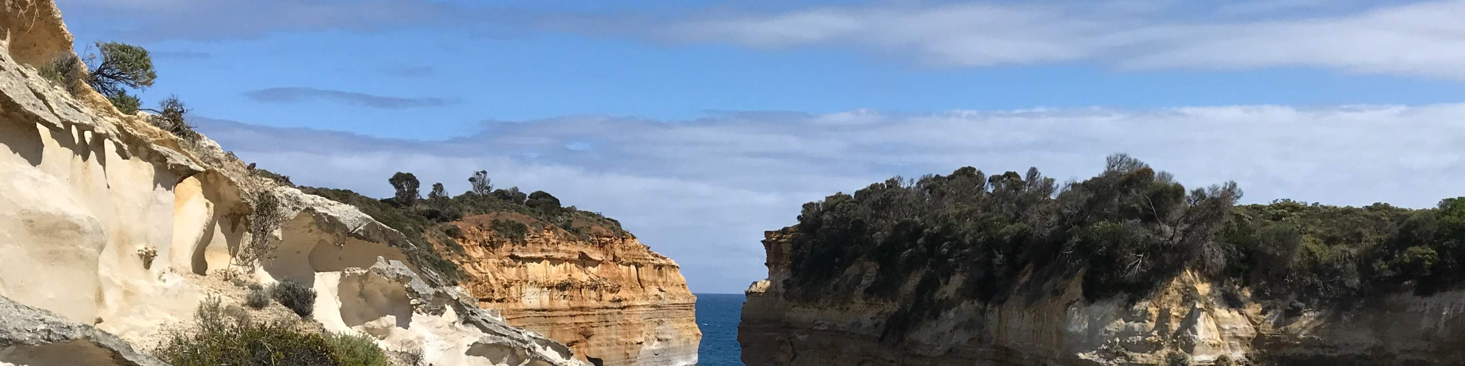 Great Ocean Road Guided ECO Tour with Lunch from Melbourne CBD - Klook