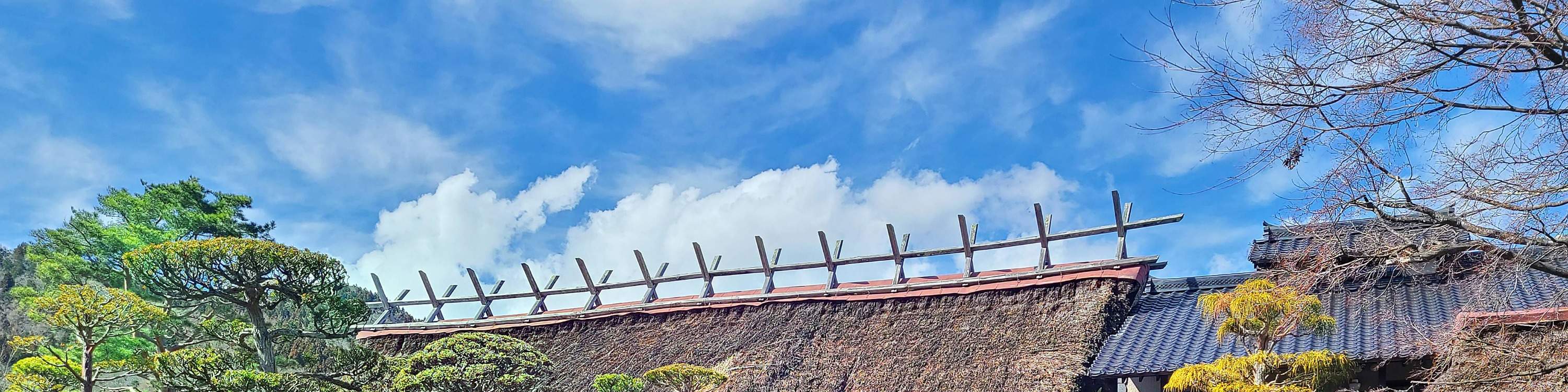 Mount Fuji Arakurayama Park Oshino Hakkai Kawaguchiko Bus Tour from ...