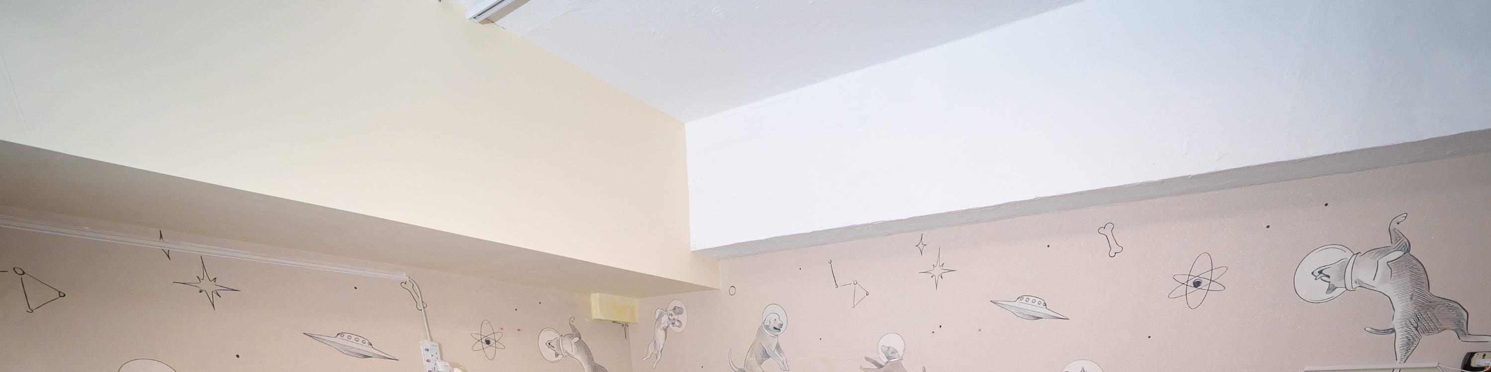 Pawradise Hong Kong Licensed Pet Boarding Service - Klook Malaysia